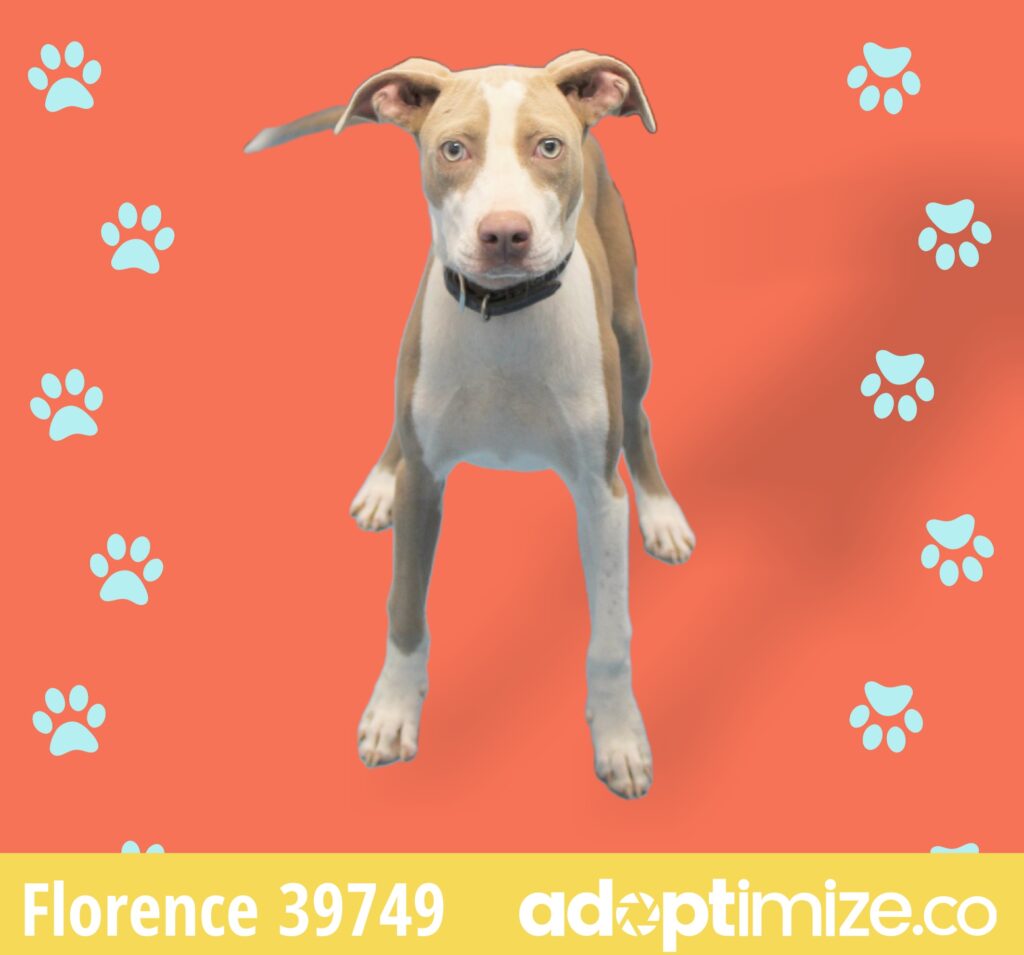 Florence 39749 - Bainbridge-Decatur County Humane Society