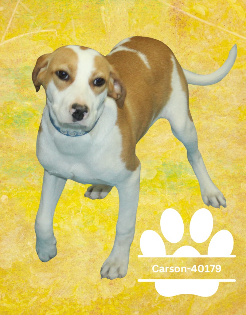 Carson & Clifford 40179-80 - Bainbridge-Decatur County Humane Society