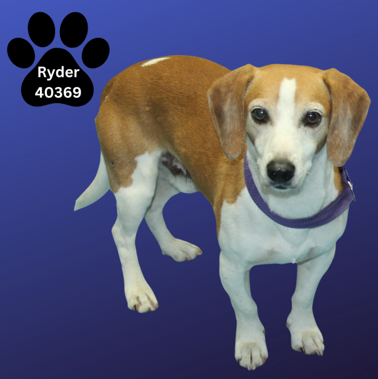 Ryder 40369 - Bainbridge-Decatur County Humane Society